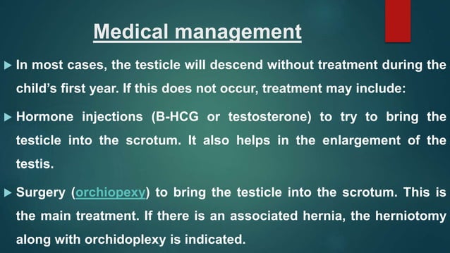 Cryptorchidism Ppt
