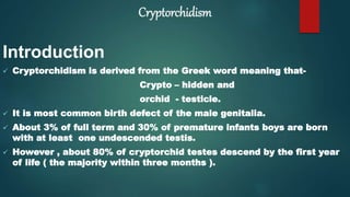 Cryptorchidism | PPT