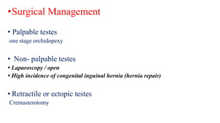 Cryptorchidism | PPTX