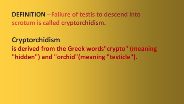 cryptorchidism.pptx