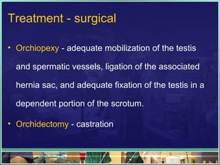 Cryptorchidism in adults - case report | PPT
