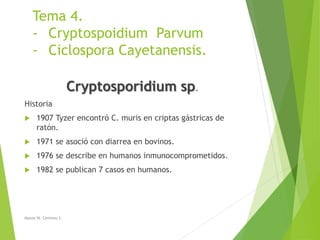 Cryptospoidium parvum y cyclospora cayetanensis | PPTX
