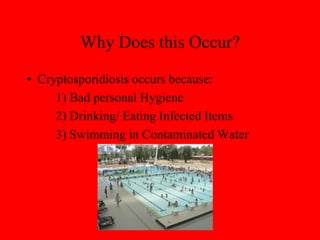 Cryptosporidiosis | PPTX