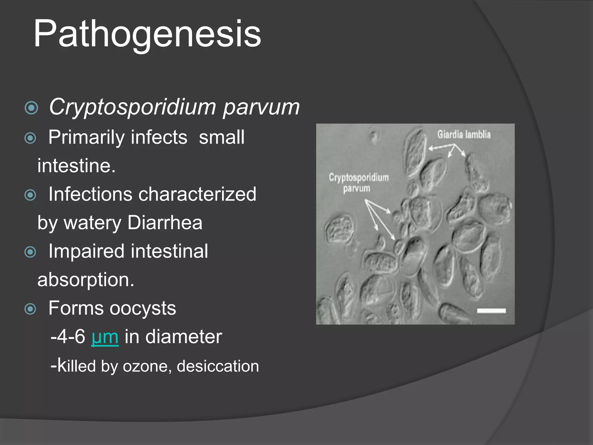 Cryptosporidium | PPTX