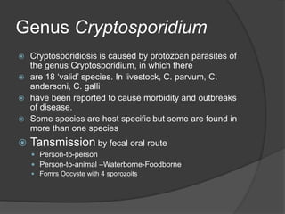 Cryptosporidium | PPTX
