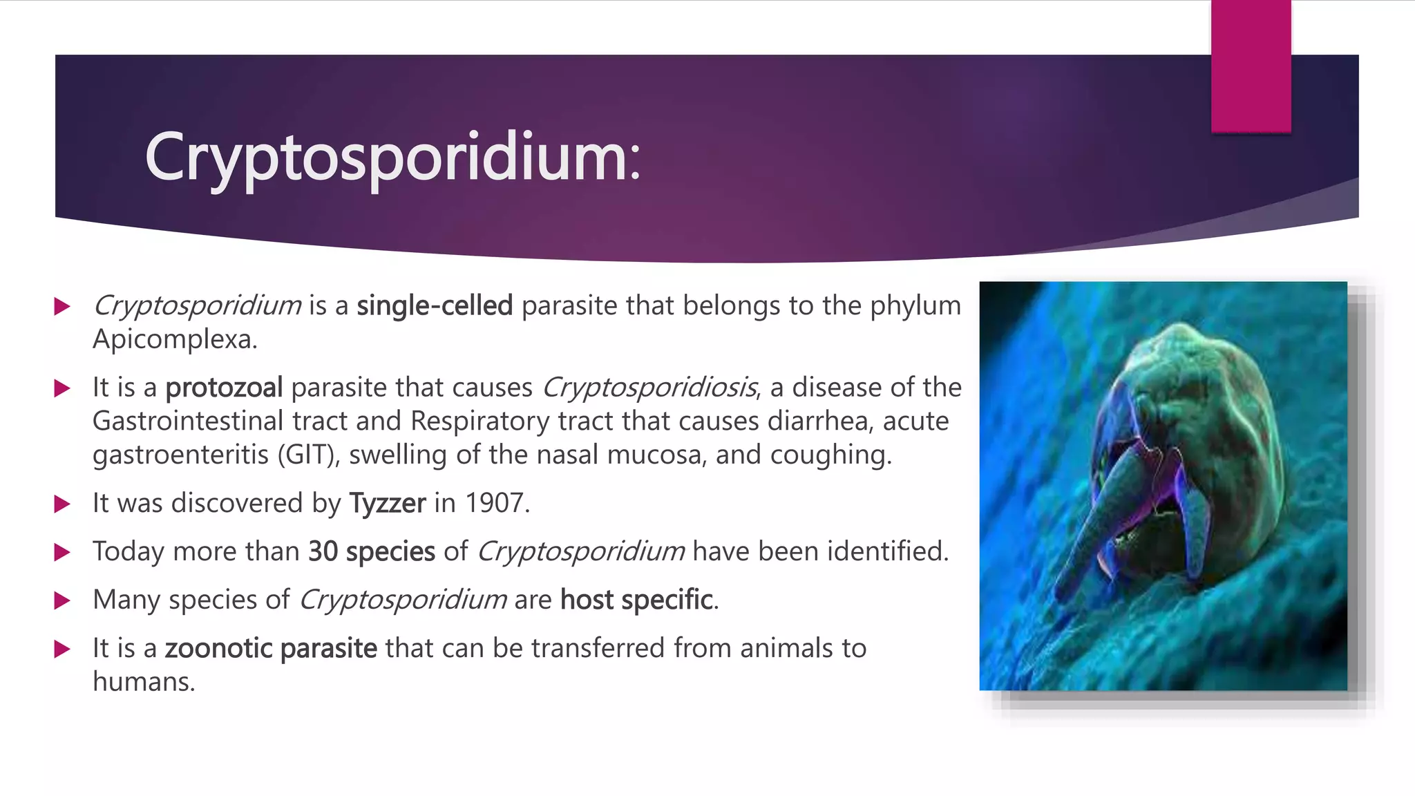 Cryptosporidium.pptx