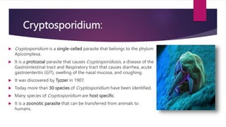 Cryptosporidium.pptx