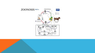 CRYPTOSPORIDIUM para.pptx