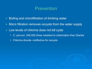 Cryptosporidium parvum | PPT