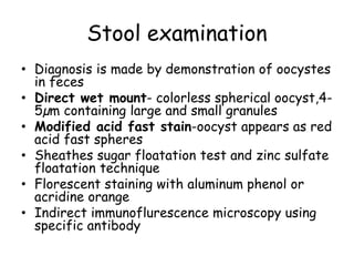 Cryptosporidium parvum | PPTX