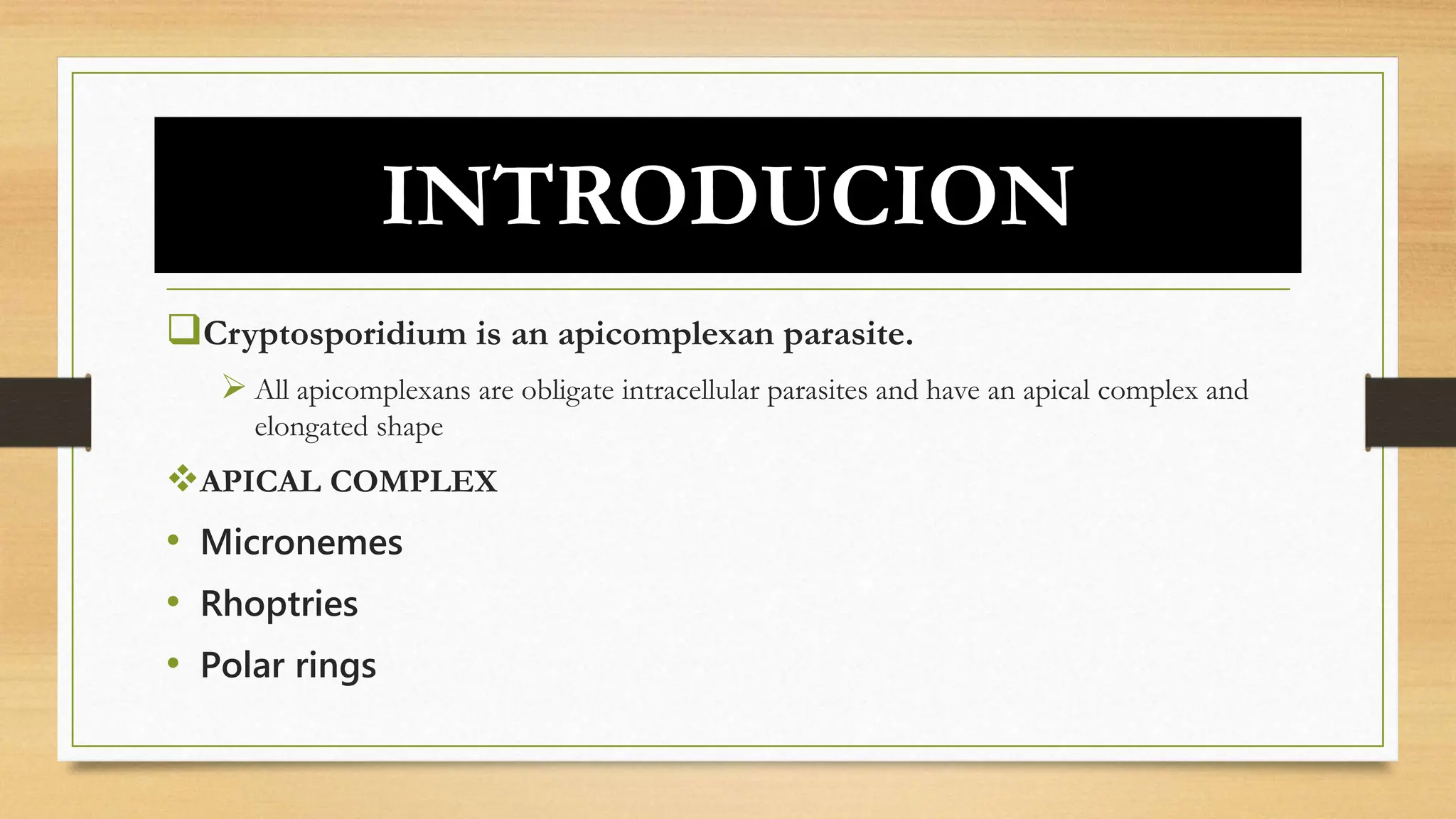 CRYPTOSPORIDIUM PARVUM.pptx