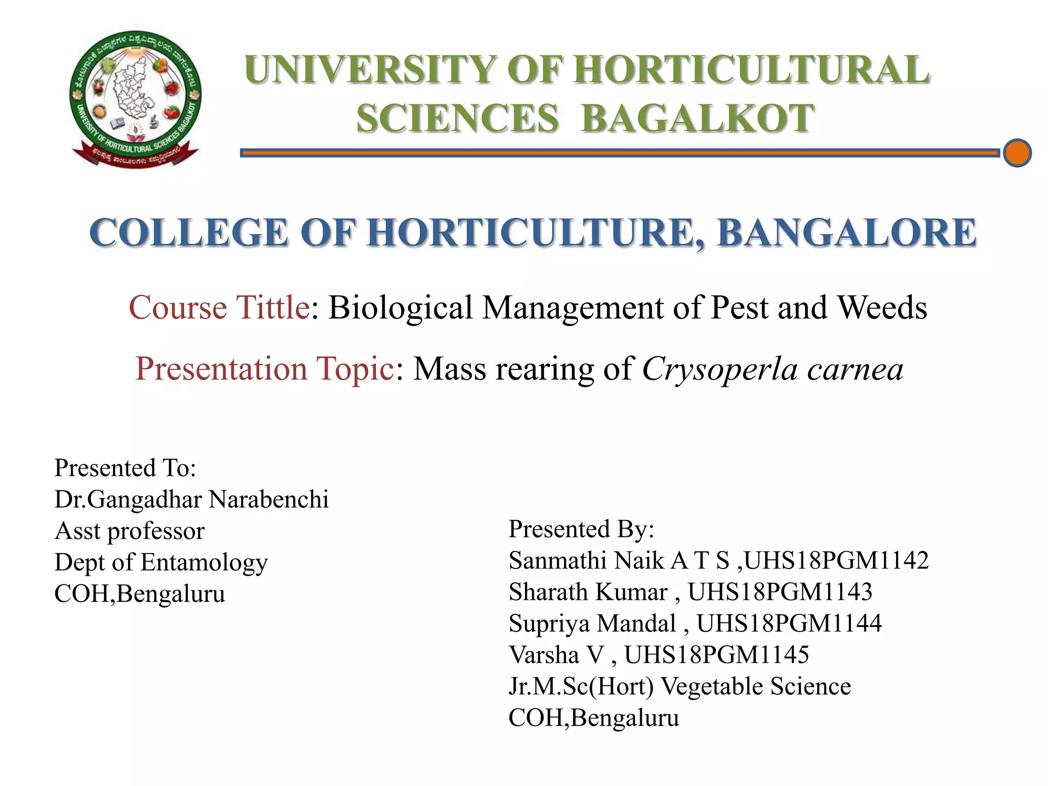 Mass production of Crysoperla carnea | PPTX