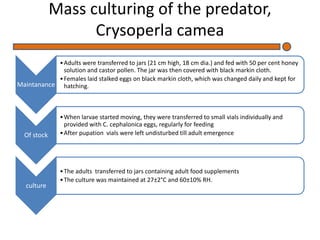 Mass production of Crysoperla carnea | PPTX