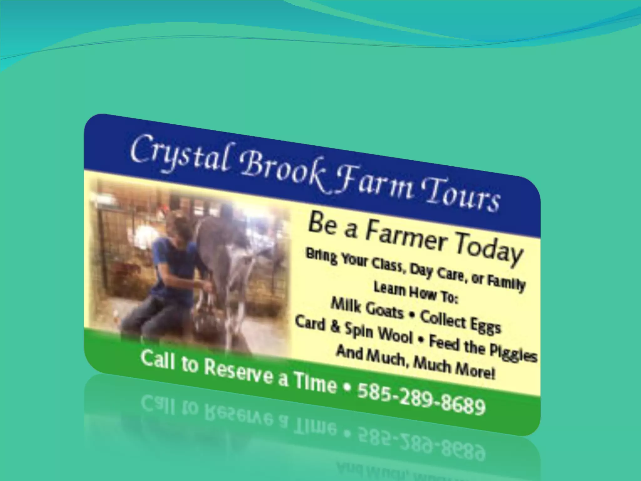 Crystal Brook Farms Market &Meats 9 2009 | PPT
