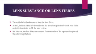 Crystalline Lens: The Anatomy, structures and Clinical Significance | PPTX