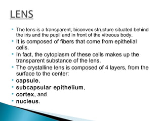 Crystalline lens and accommodation | PPT | Eye and Vision Conditions ...