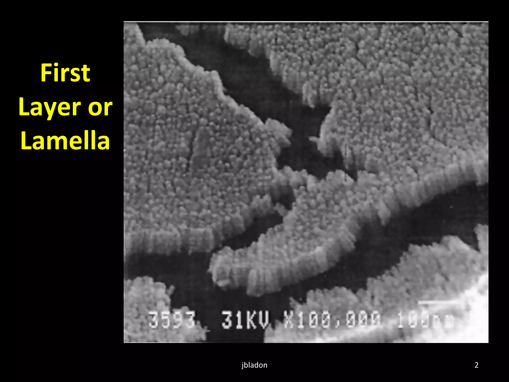 Crystalline Structure Of Photoresist Film | PDF