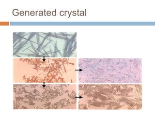 Crystallization and drying | PPTX