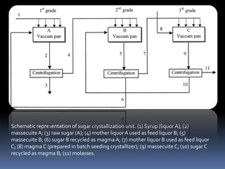 Sugar Crystallization Process