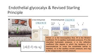 Crystalloid and colloids for Anaesthesiology | PPTX