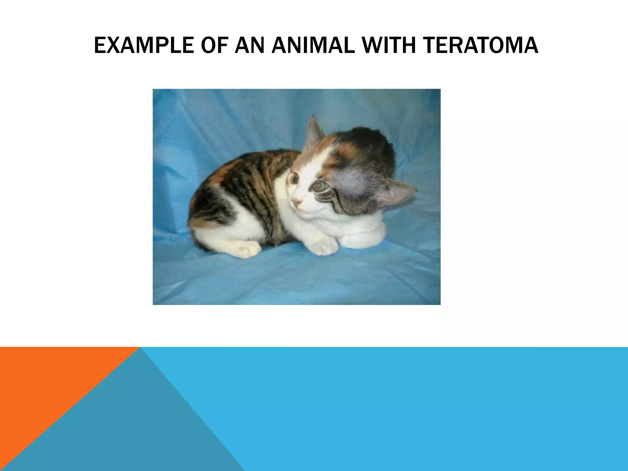 Crystalmeza teratoma.docx