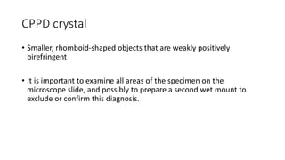 Crystals in rheumatic diseases.pptx