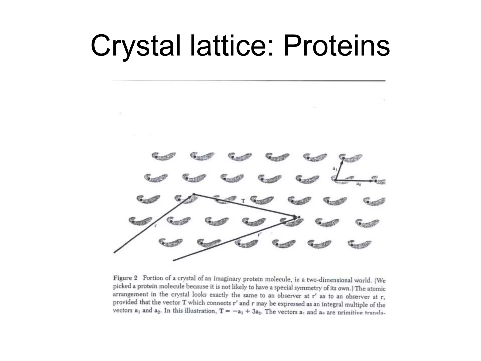 crystalstructure.ppt