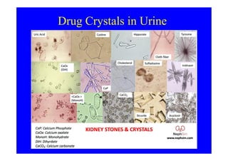 Crystal ua | PDF