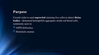 Crystal Violet Supravital Stain Sky Lawa-an presentation.pptx