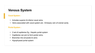 Circulatory System | PPTX