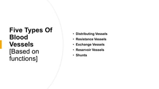 Circulatory System | PPTX