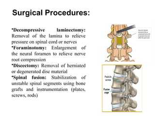 Cervical and Lumbar pathology.ppt Pathologies here can affect neck and ...