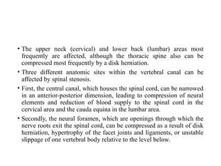 Cervical and Lumbar pathology.ppt Pathologies here can affect neck and ...