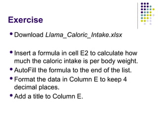 CS103-12.pptx on Excel for basic formula and functions | PPT