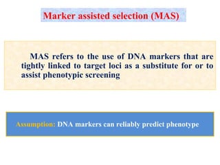 Marker assisted selection for complex traits in agricultural crops | PPT