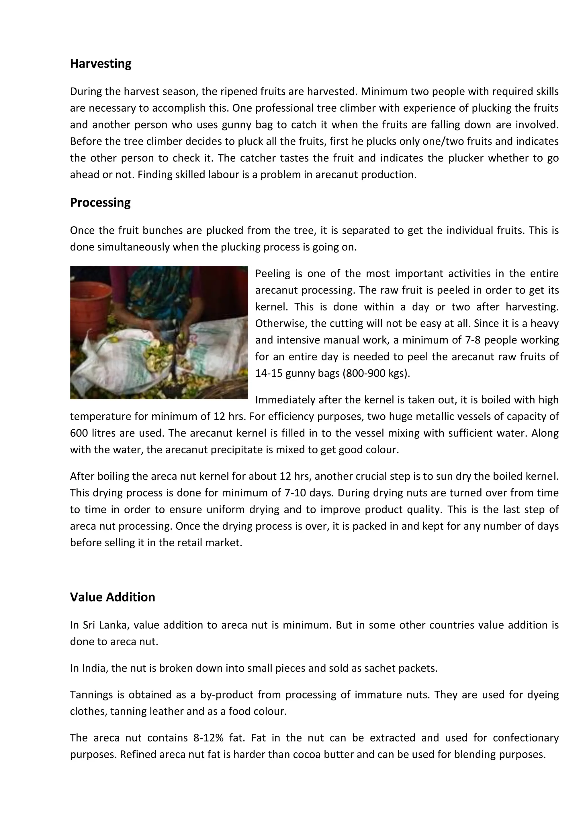 Nutmeg and Betel Nut | PDF