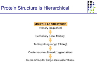 Cs273 structure prediction | PPT