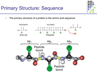 Cs273 structure prediction | PPT