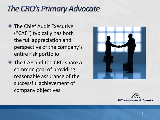 Common Objectives of the CRO and the CAE | PDF | Business ...