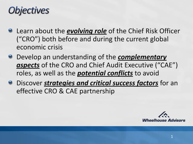 Common Objectives of the CRO and the CAE | PDF | Business ...