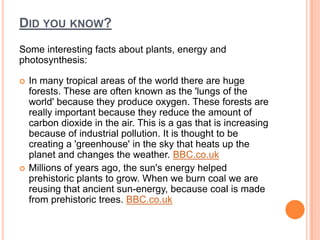 Cs 417 Photosynthesis | PPT