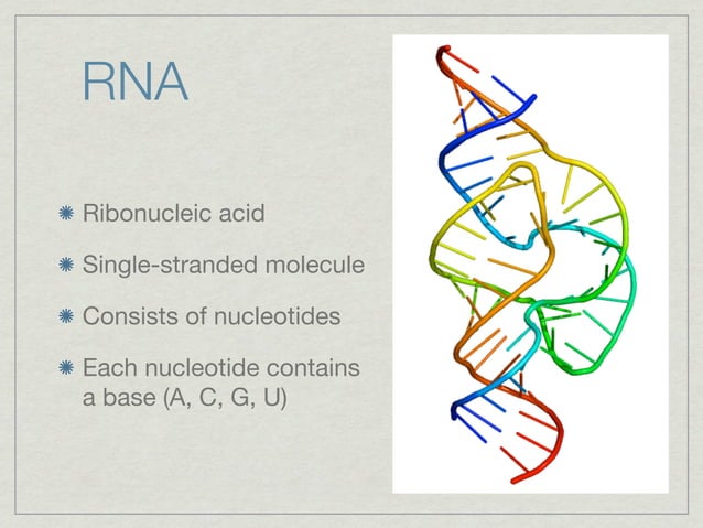 RNA Secondary Structure Prediction | KEY