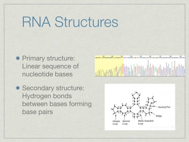 RNA Secondary Structure Prediction | KEY