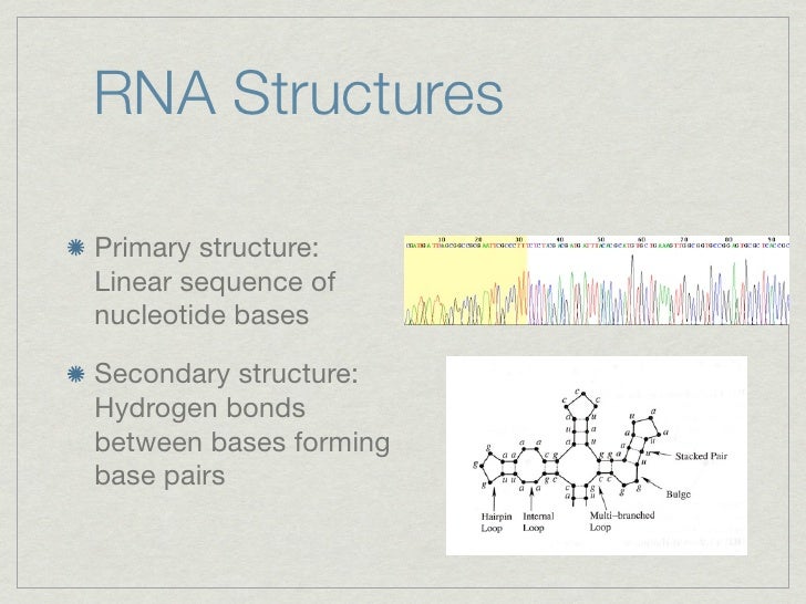 Rna Secondary Structure Prediction 2584