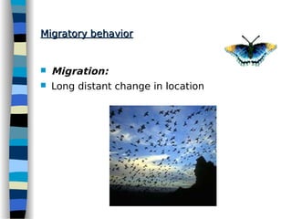 Cs6461 object oriented programming | PPT