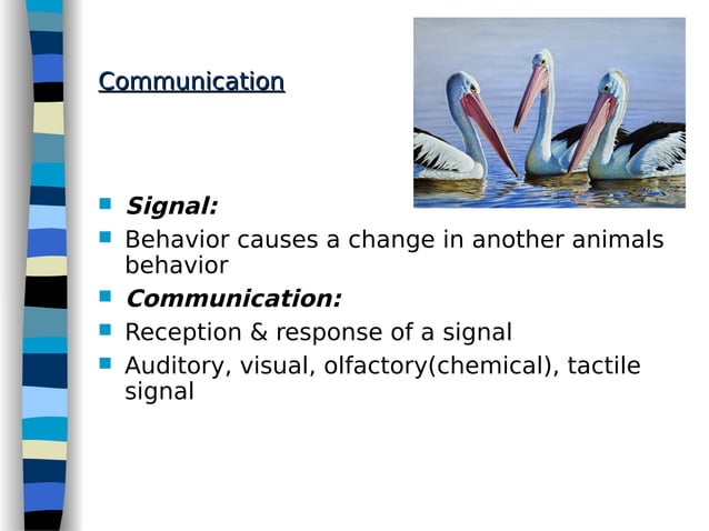 Cs6461 Object Oriented Programming Ppt 6311
