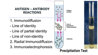 CS 9 ANTIGEN ANTIBODY REACTION.pptx