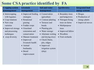 CSA.pptx | Agriculture | Industries