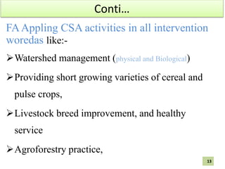 CSA.pptx | Agriculture | Industries