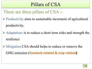 CSA.pptx | Agriculture | Industries